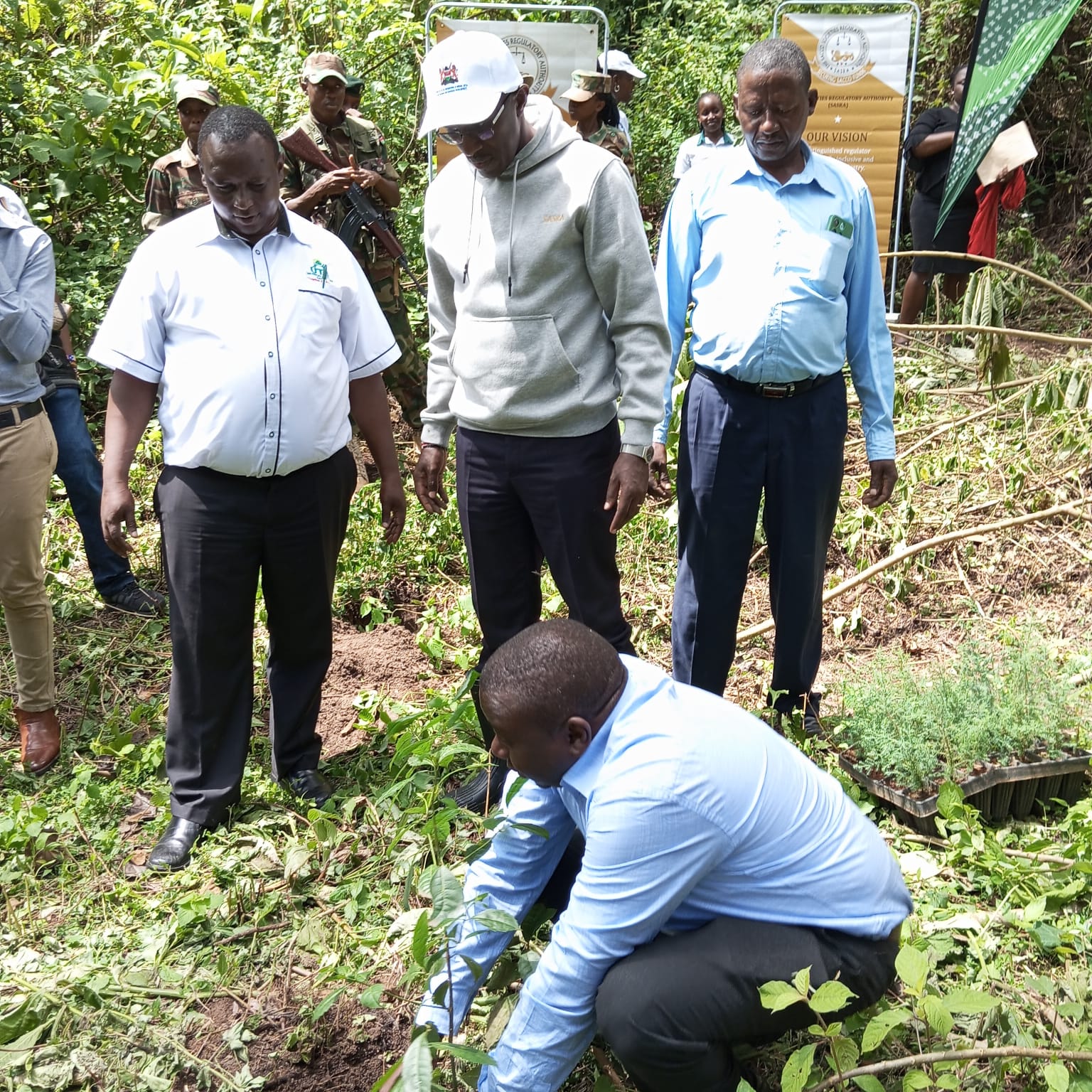 UTS participates in tree planting with SASRA CEO-Team - Universal ...