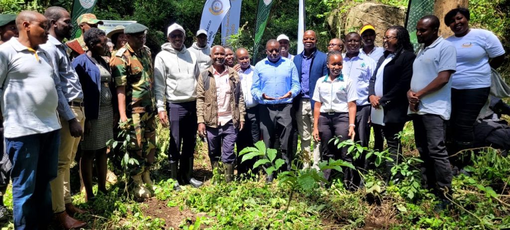 UTS participates in tree planting with SASRA CEO-Team - Universal ...